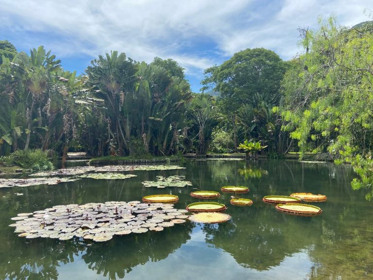 Viagem no Detalhe | Camilla Ribeiro » Arquivos » 8 lugares imperdíveis ...